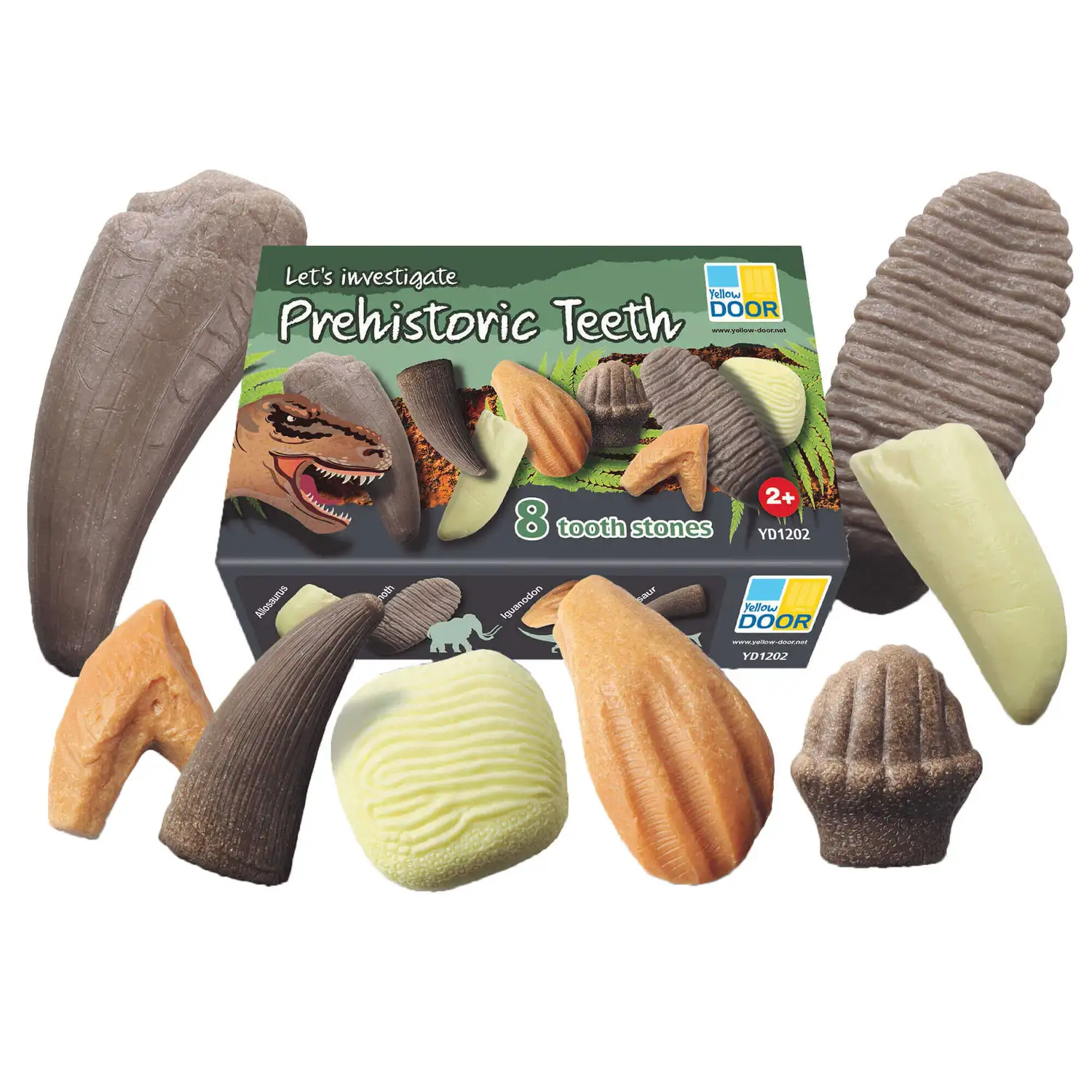 Let's Investigate Prehistoric Teeth 8 Pack - Gompels | Care & Education ...