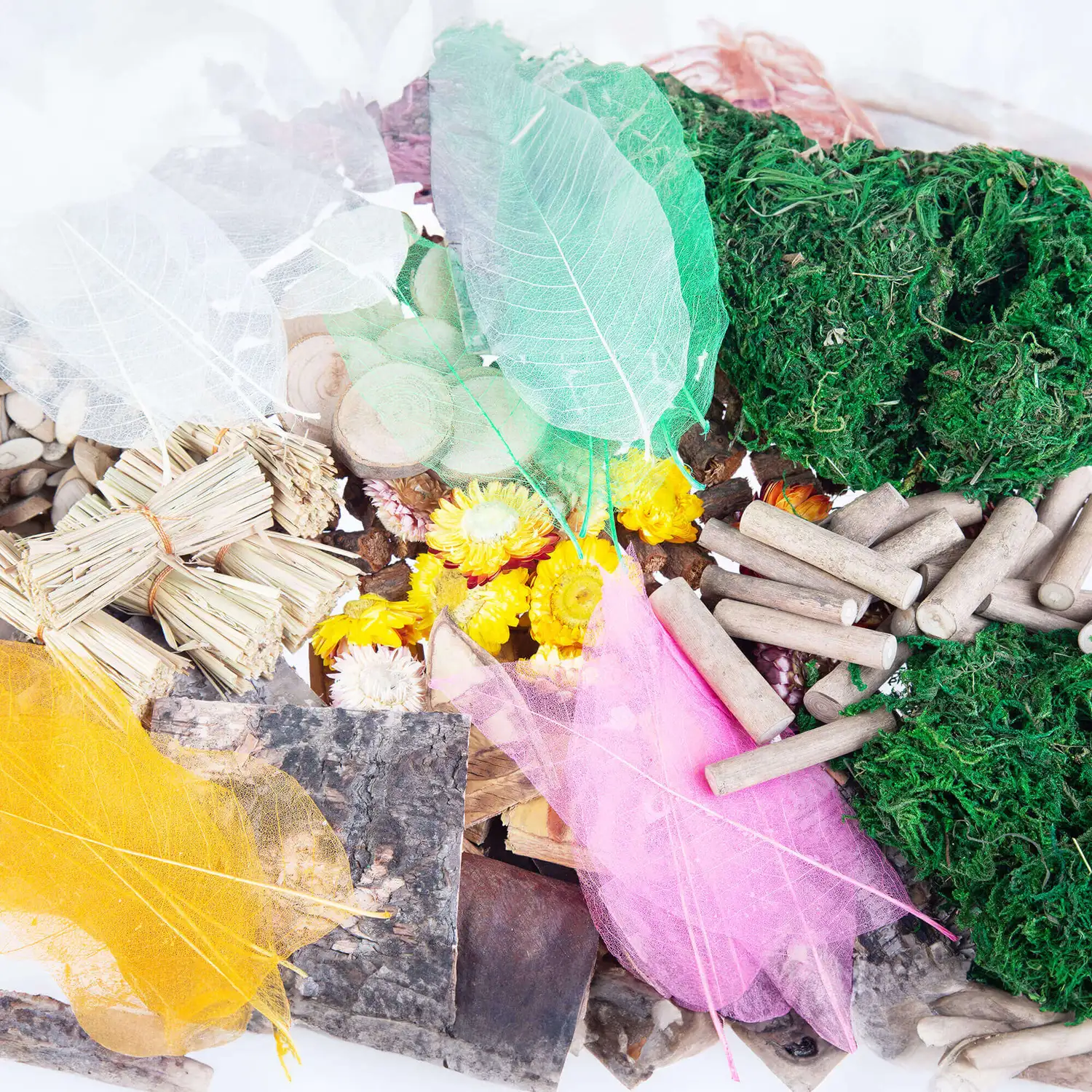 Natural Craft and Collage Materials Assorted 10 Pack - Gompels | Care ...