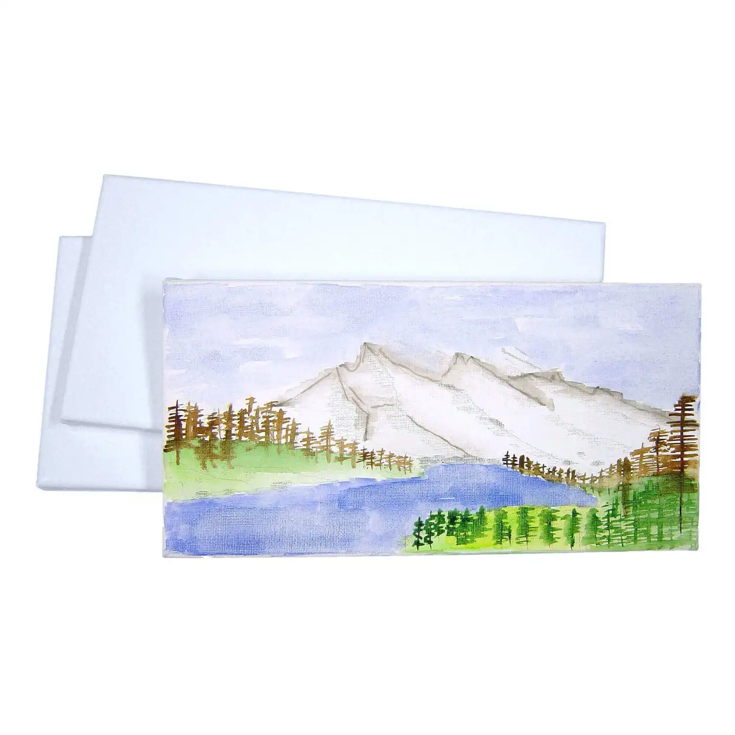 Landscape Canvas 150 x 300mm - Gompels | Care & Education Supplies