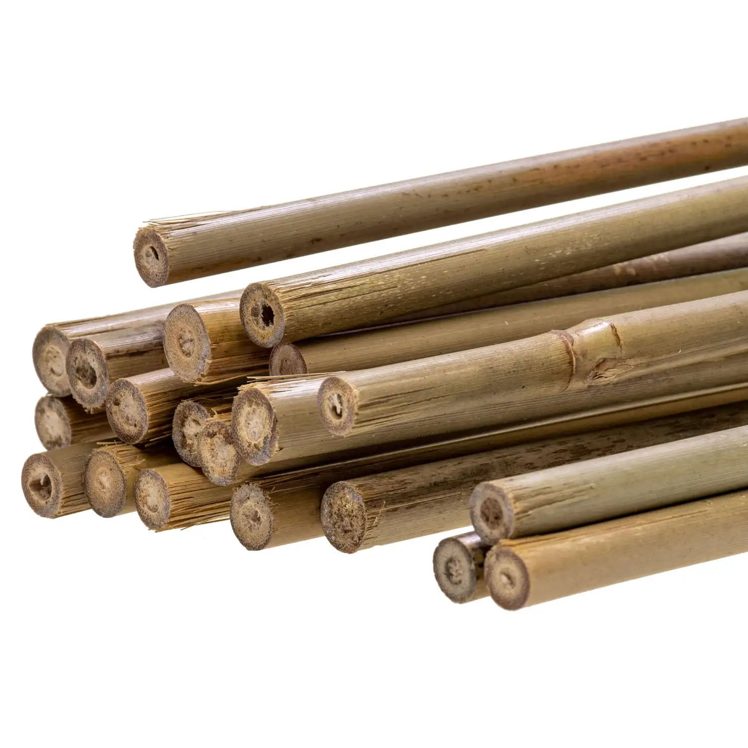 Bamboo Stick 120cm 20 Pack - Gompels | Care & Education Supplies
