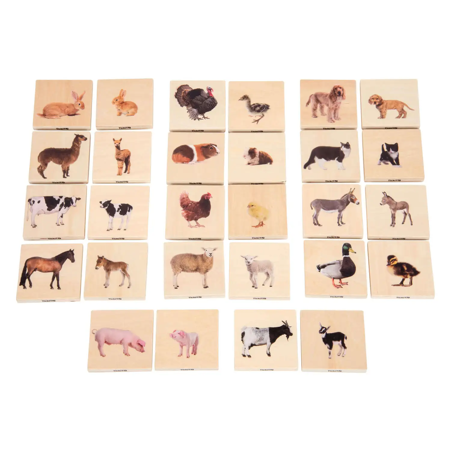 Domestic Animal Family Match - Gompels | Care & Education Supplies